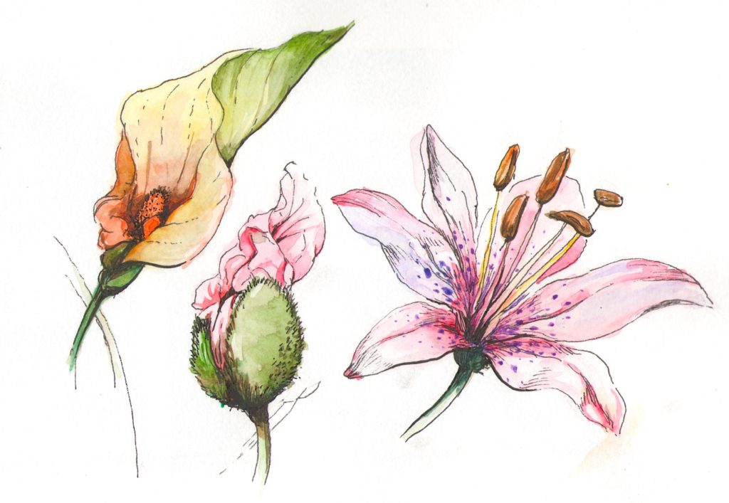 Ink Watercolor - Alphonso Dunn